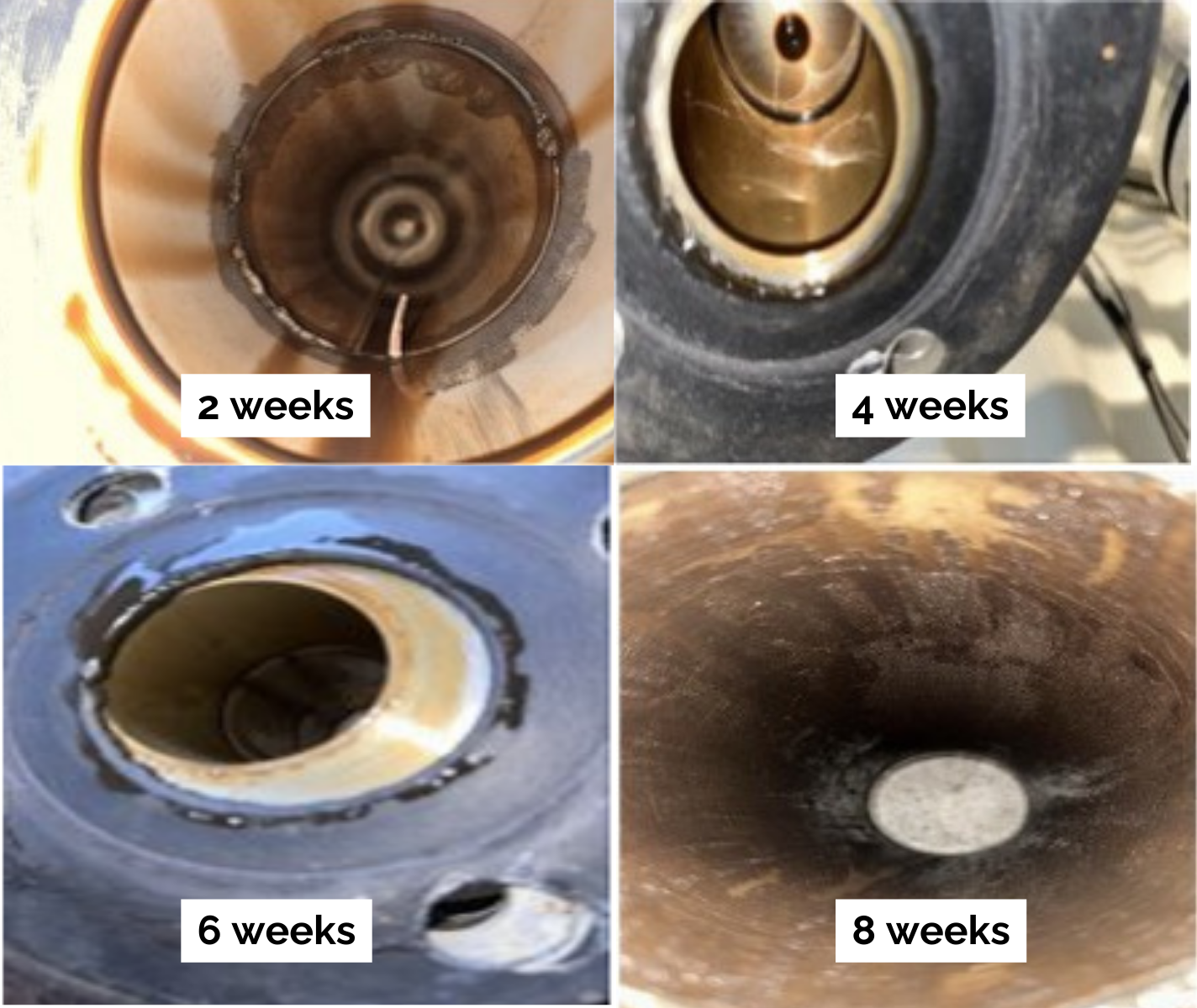 Increased Operation Uptime in a Biogas Plant with Power Ultrasound ...