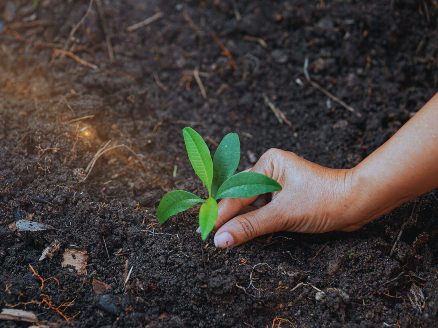 HOME - Altum Technologies